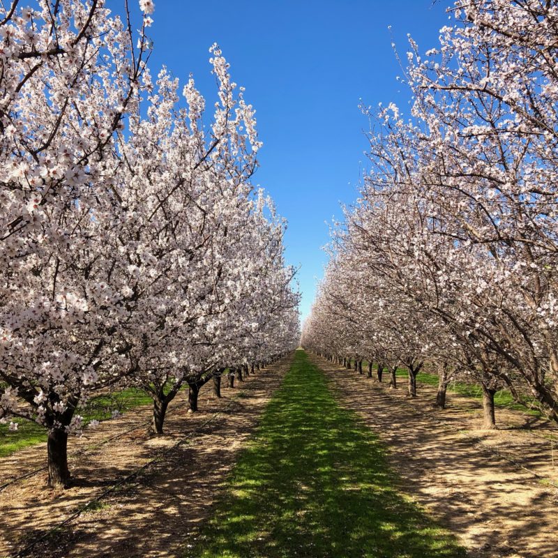 Listings Archive - Cornerstone Land Co